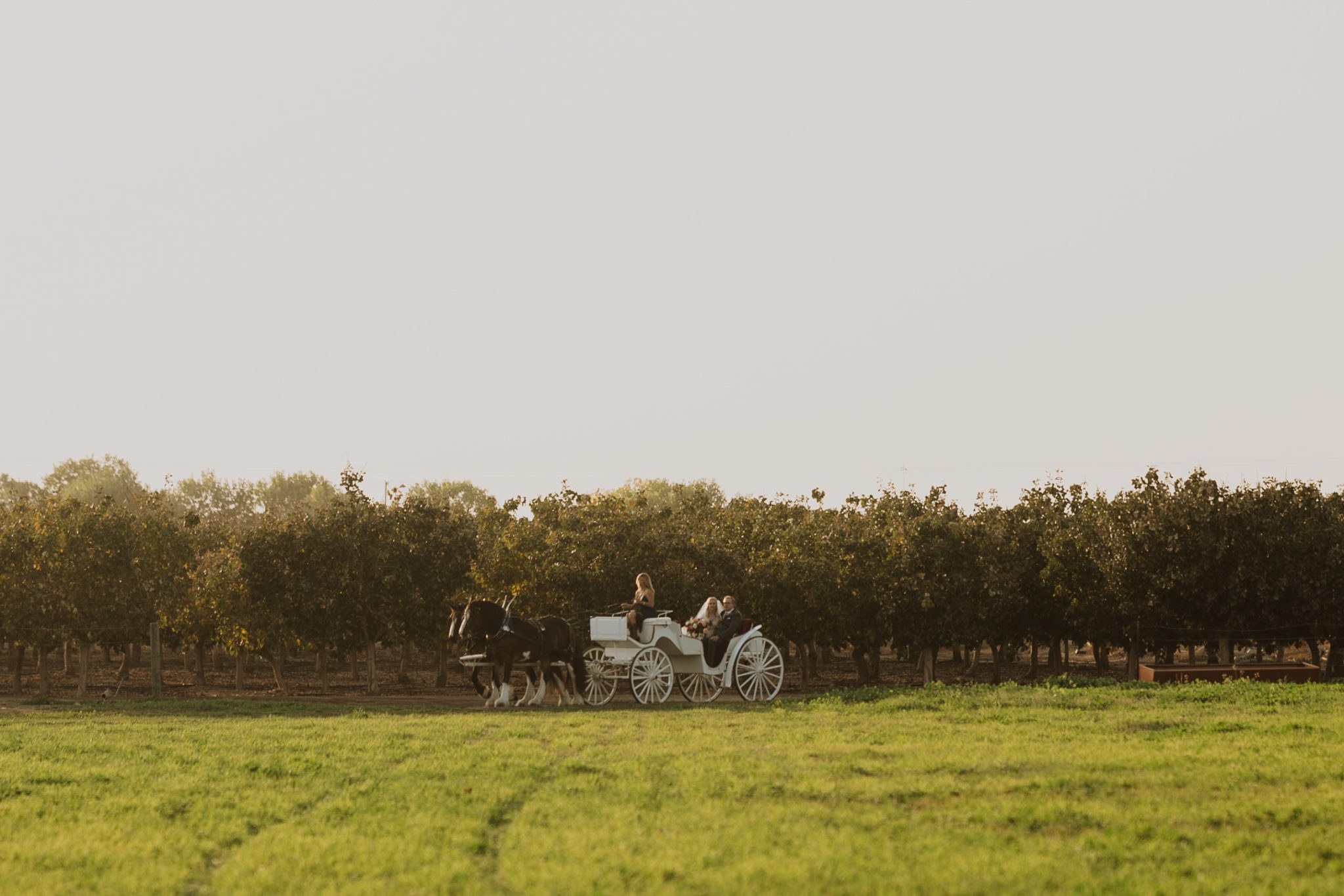 CYNTHIA + DENTON | WEDDING - westernweddingmagazine.com