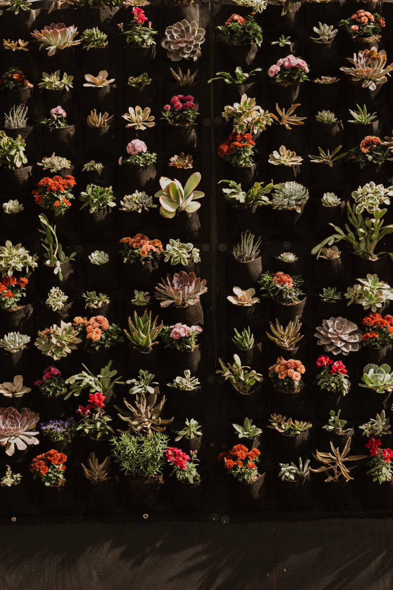 CYNTHIA + DENTON | WEDDING - westernweddingmagazine.com