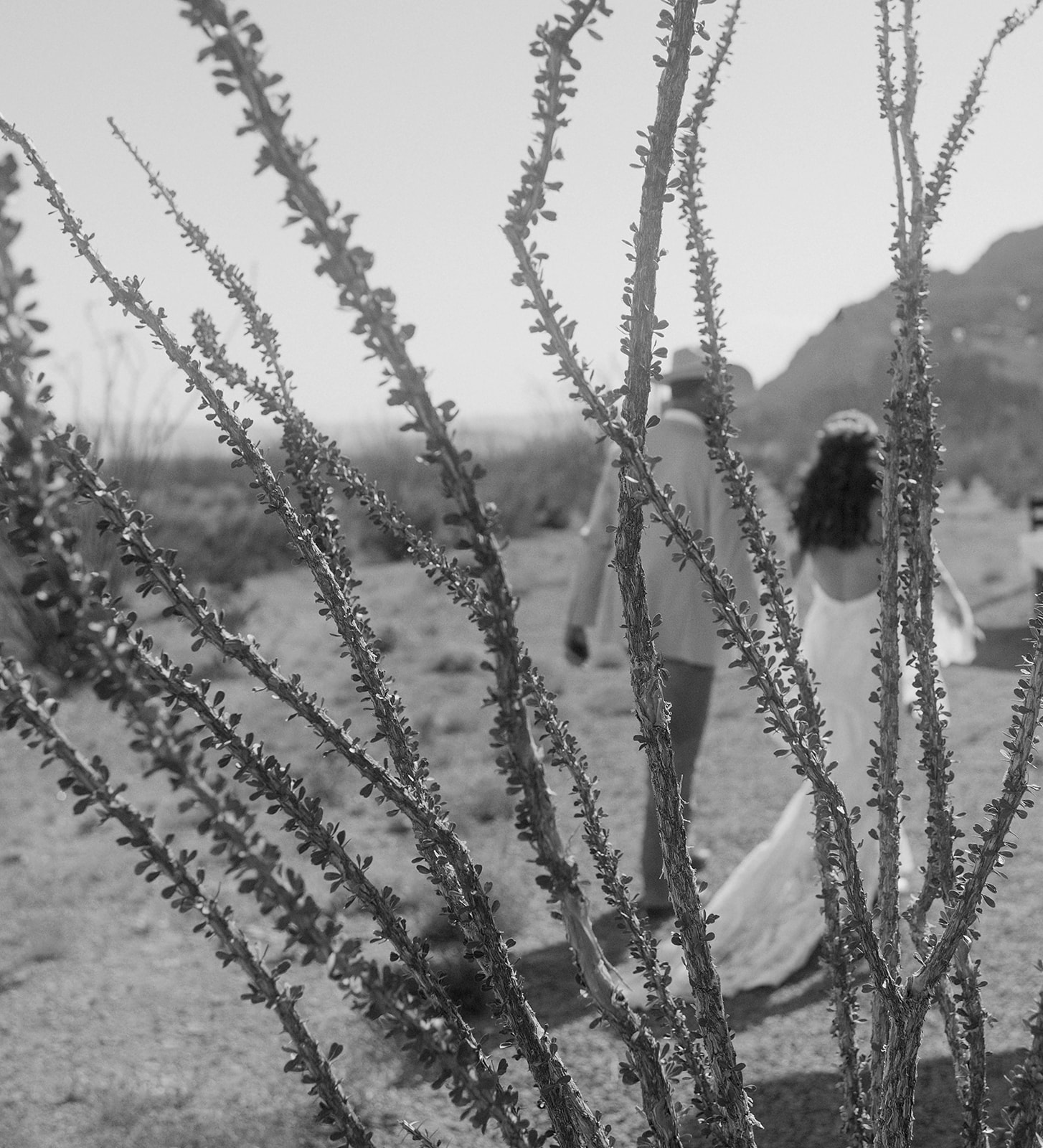 CATIE + CADE | BIG BEND ELOPEMENT - westernweddingmagazine.com